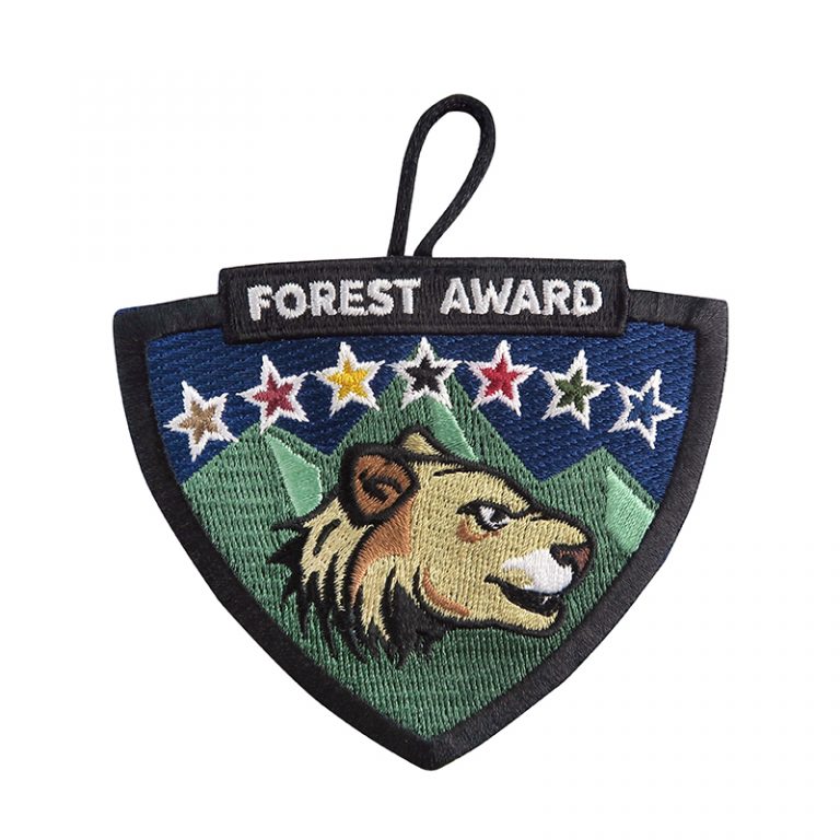 Awards and Badges Archives - Trail Life USA Store