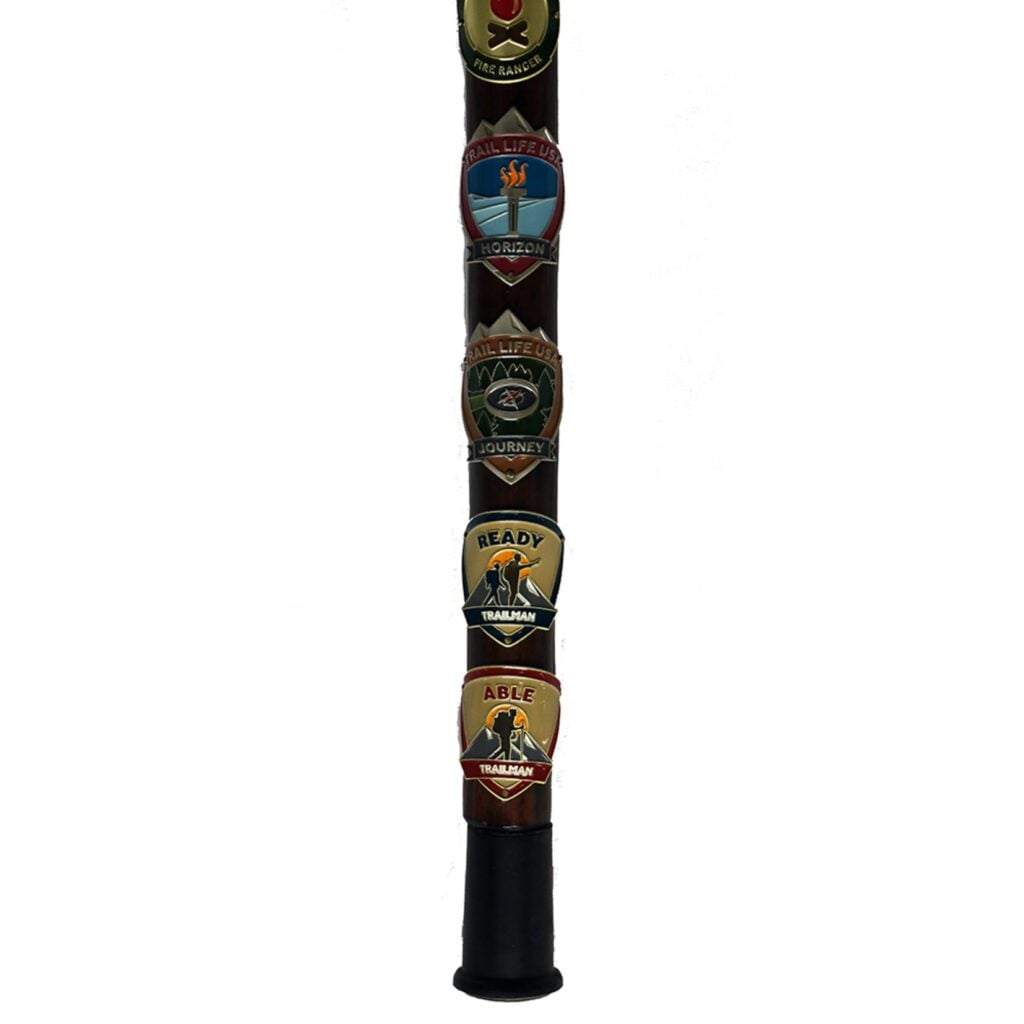 Official Troop Standard - Pack of 12 - Trail Life USA Store